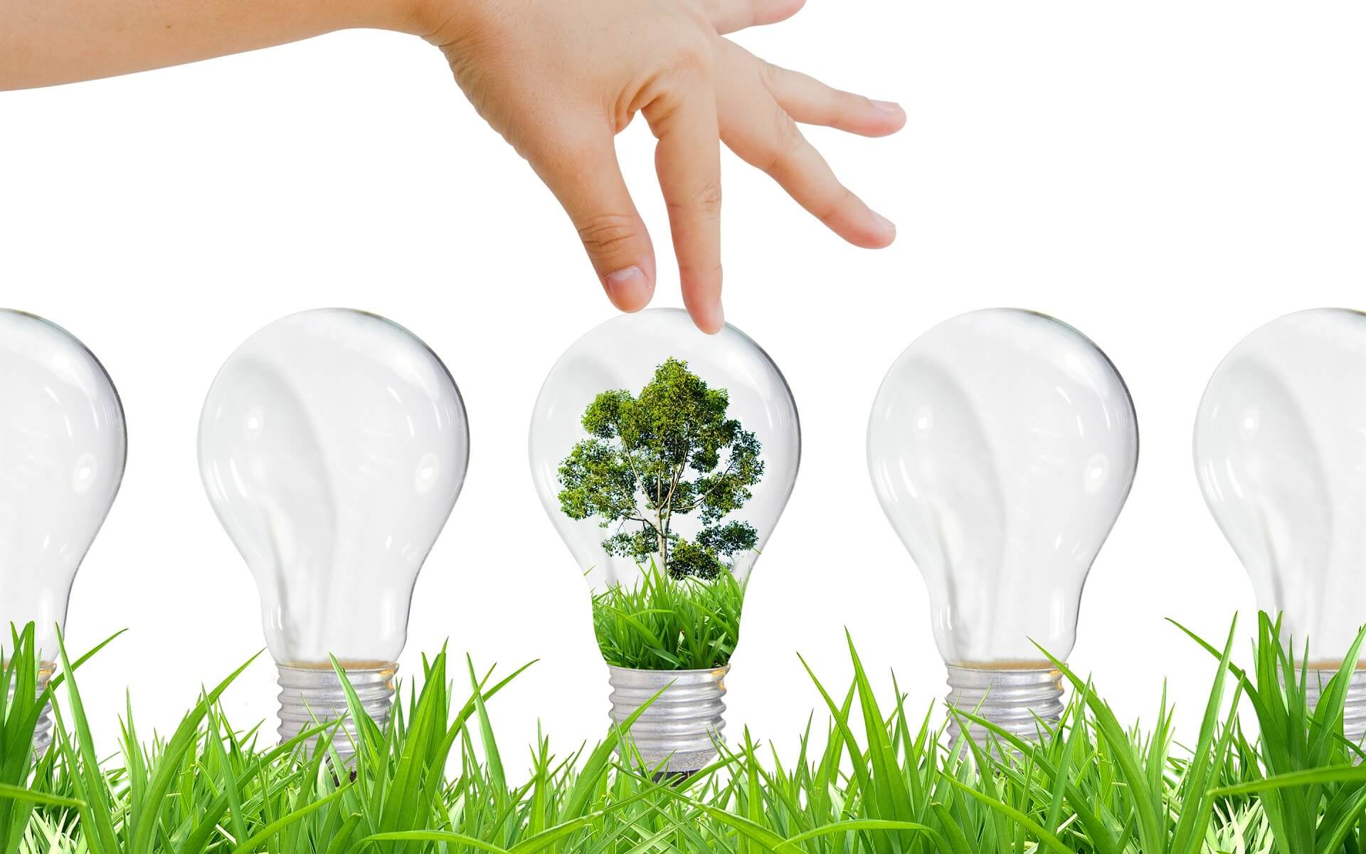 Getting ISO 14001 Certified in Arlington, Virginia (VA)